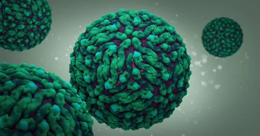 What is dengue? | Dengue.com